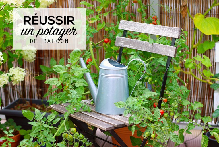Potager en pots: mes 5 conseils pour des cultures réussies - Mango and Salt
